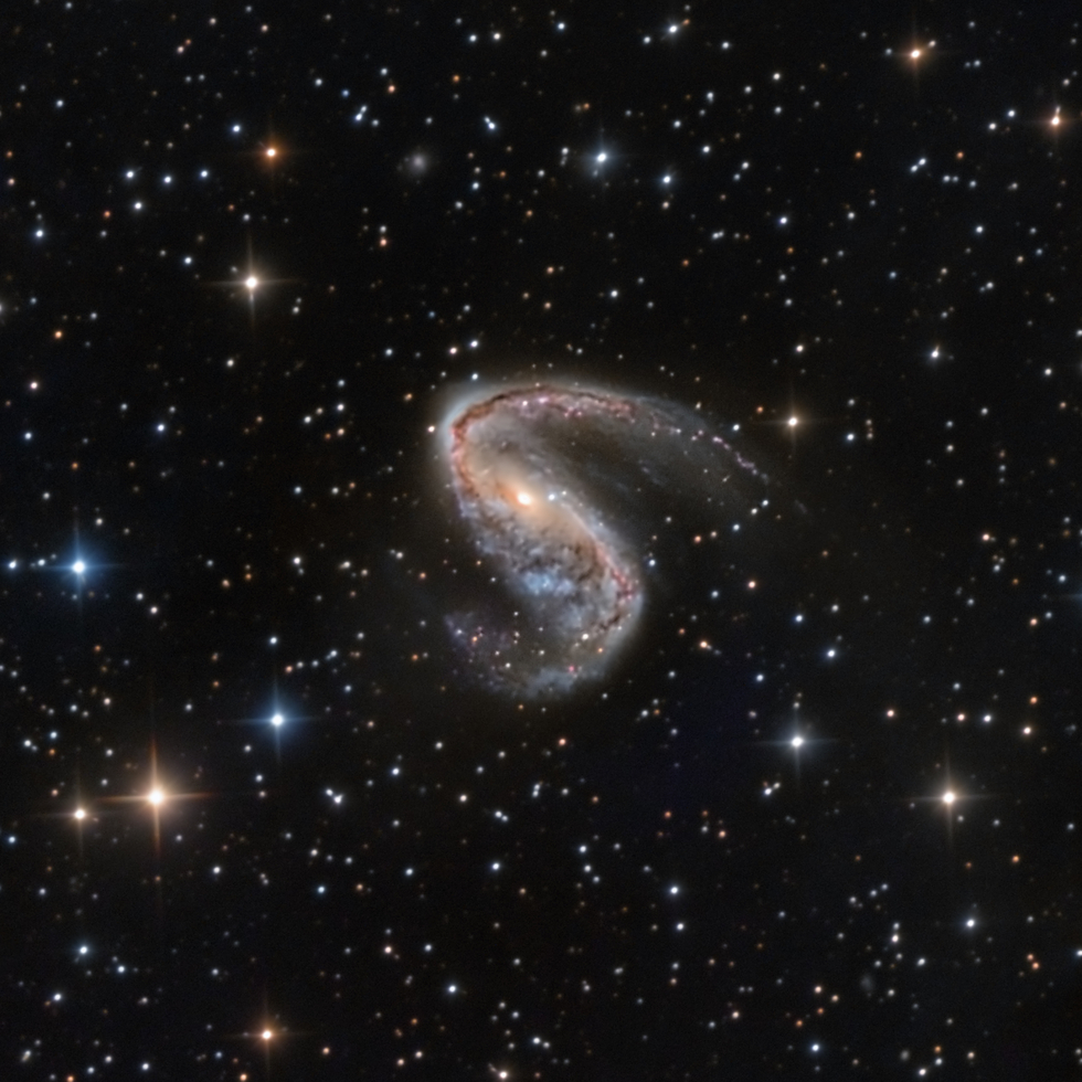 NGC 2442 - The Meathook Galaxy | Telescope Live