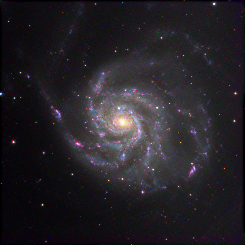 M101 The Pinwheel Galaxy | Telescope Live