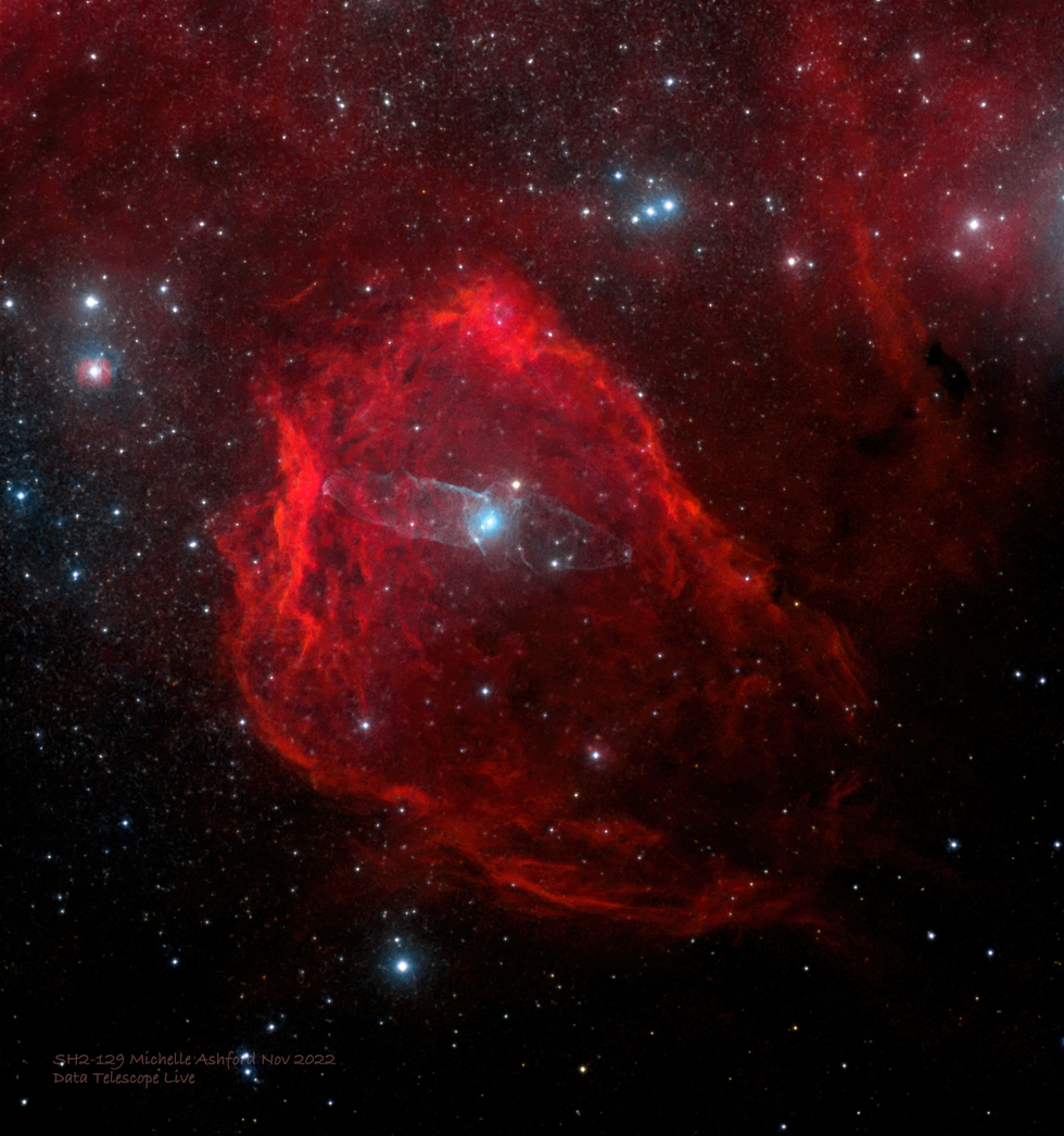 The Bat and Squid | Telescope Live