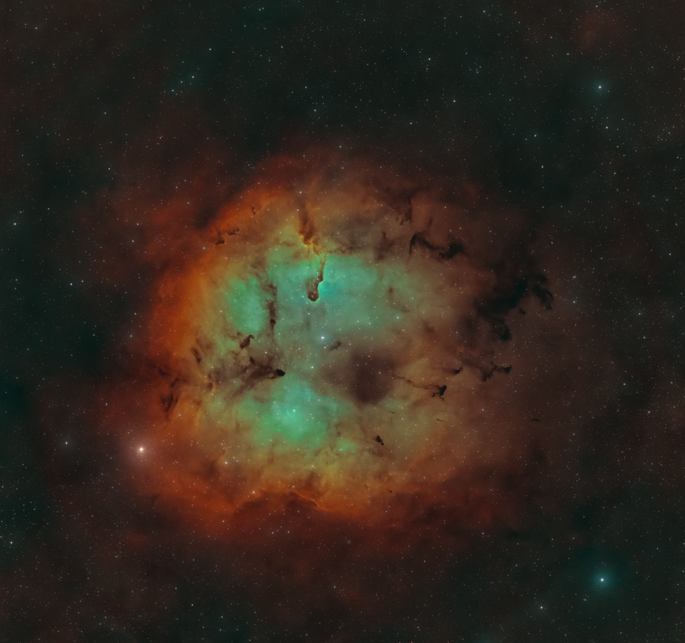 Elephants Trunk Nebula | Telescope Live