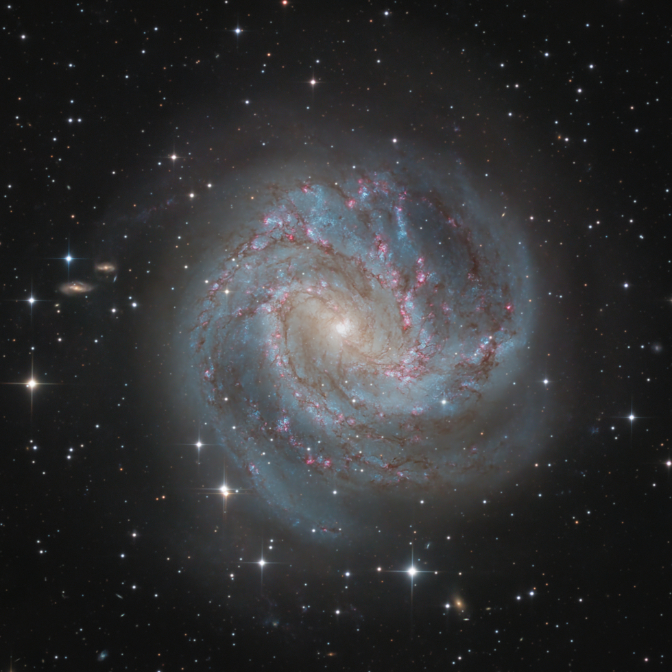 M83 | Telescope Live