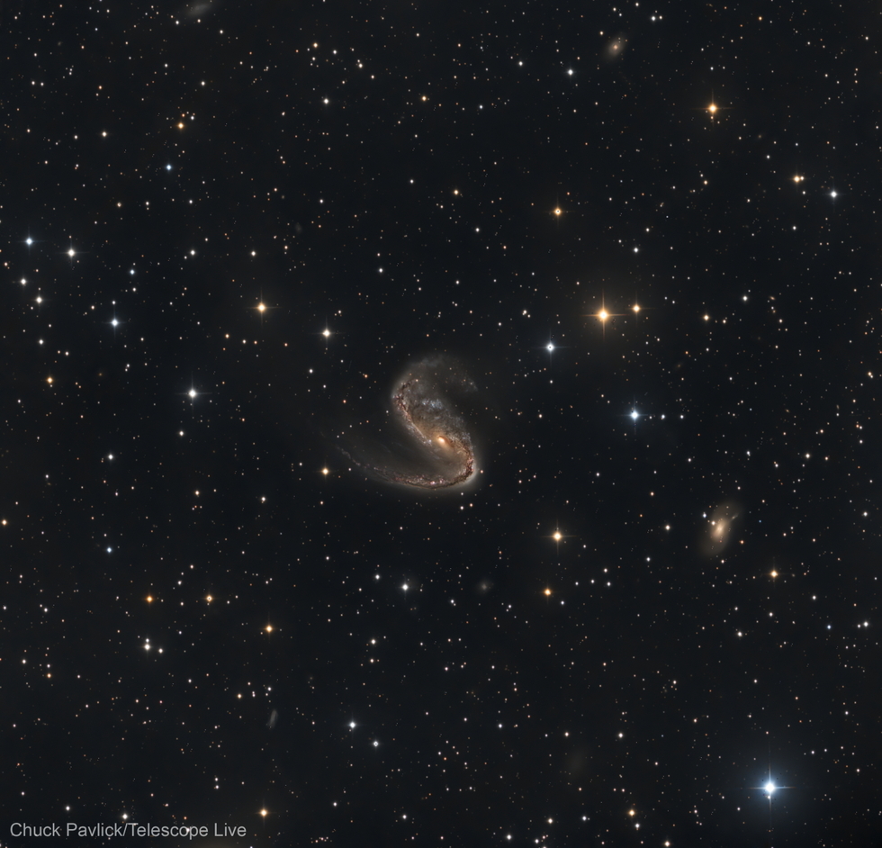 NGC 2442 | Telescope Live