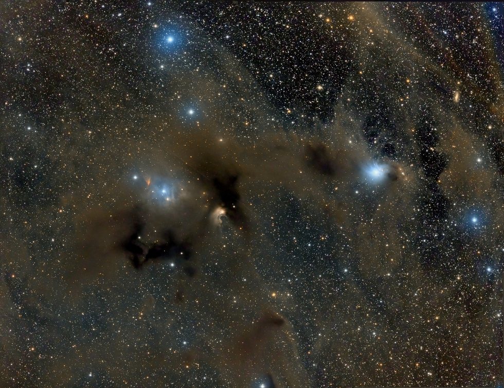 CED 111 | Telescope Live