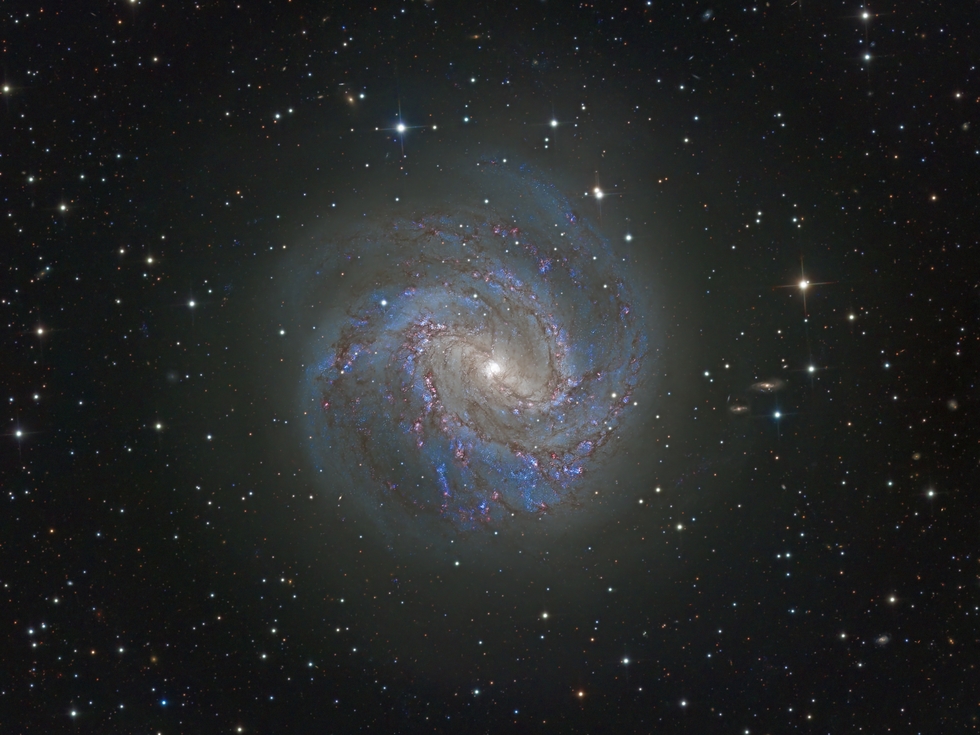 Southern Pinwheel | Telescope Live