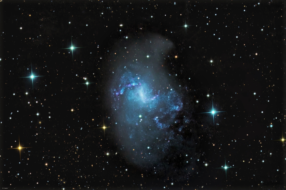 Ngc1313 | Telescope Live