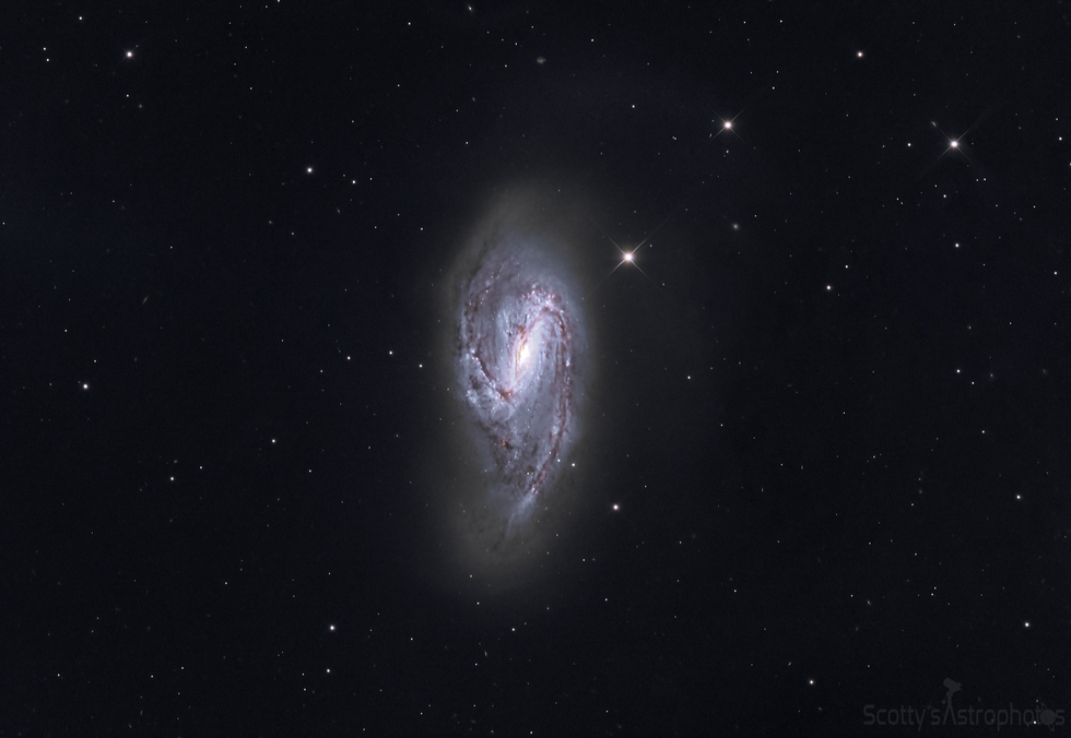 Messier 66 | Telescope Live