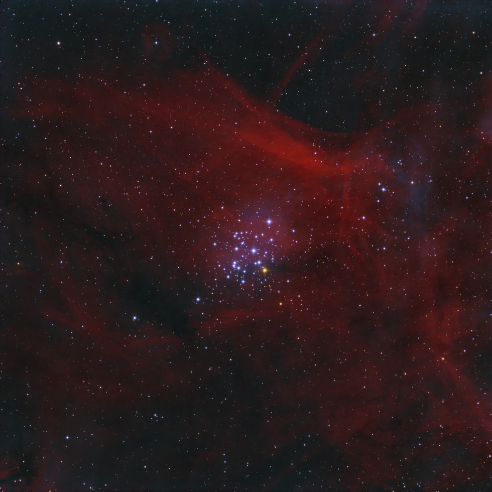 NGC 3293 | Telescope Live