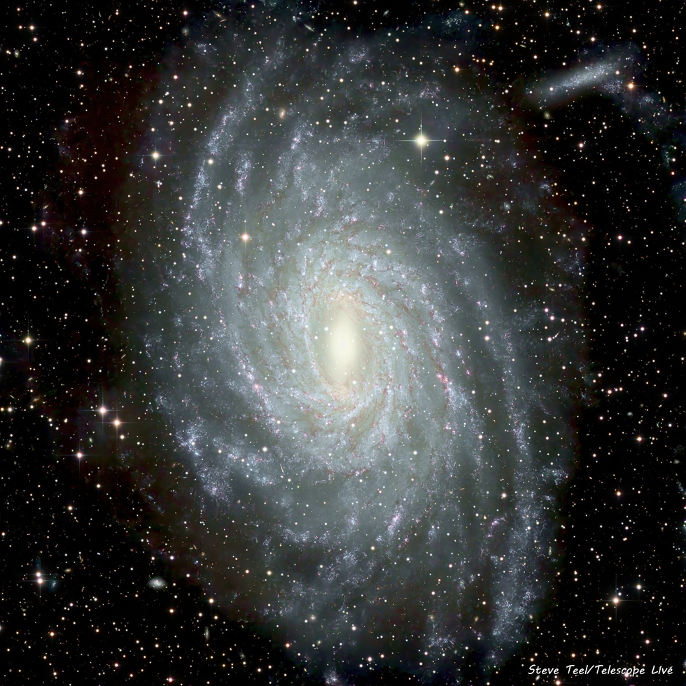 C101 (NGC6744) Pavonis | Telescope Live