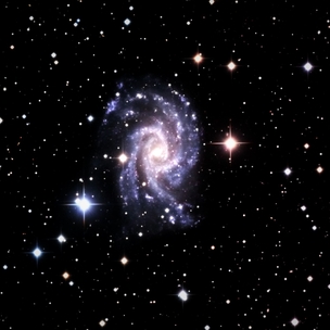 NGC-2835 from Pro dataset | Telescope Live